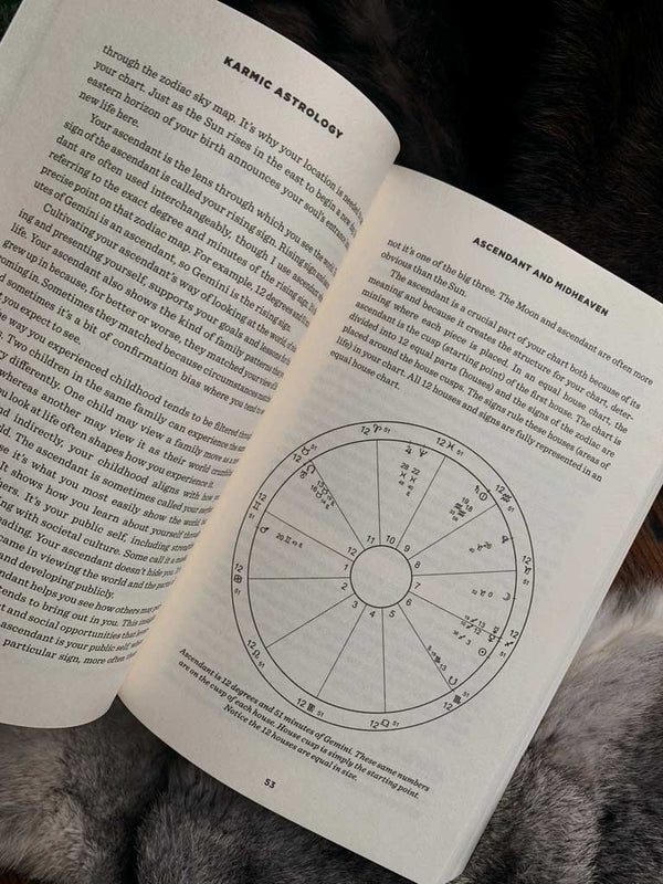 Karmic Astrology - Discover Your Souls Path of Reincarnation and Revea ...