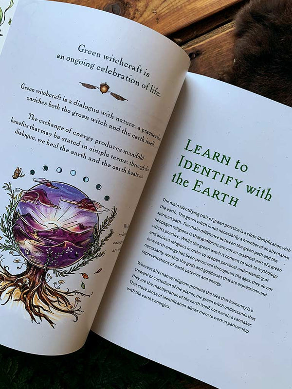 The Green Witch Illustrated - An Enchanting Immersion Into the Magic o ...