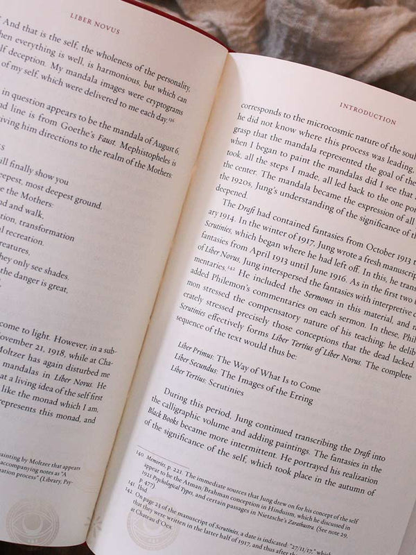 The Red Book Liber Novus by Carl Jung - Rite of Ritual