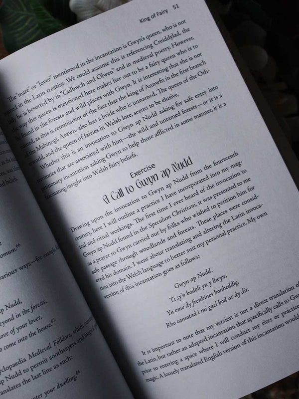 Welsh Fairies - A Guide to the Lore, Legends, Denizens & Deities of th - Rite of Ritual