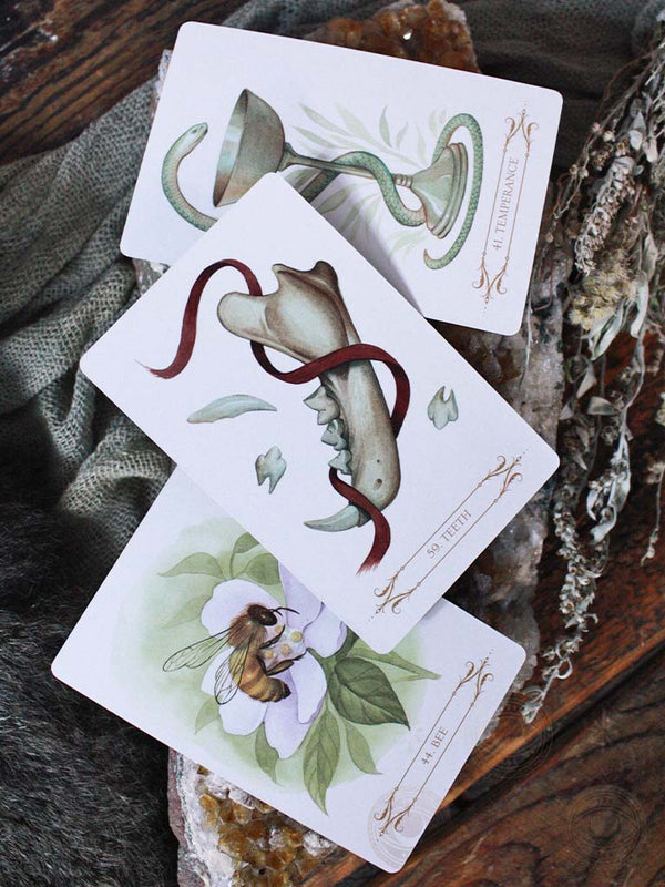 A Compendium of Witches Oracle Deck - Rite of Ritual