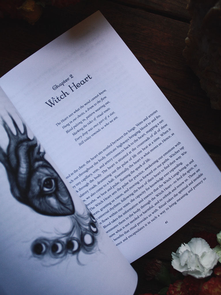 Anatomy of a Witch - A Map to the Magical Body - Rite of Ritual
