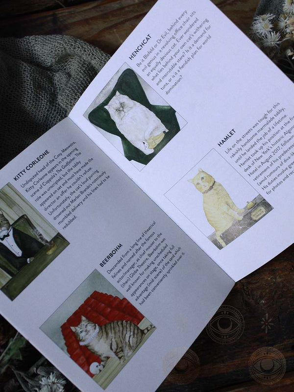 Cat Gurus - Wisdom from the World's Most Celebrated Felines - Rite of ...