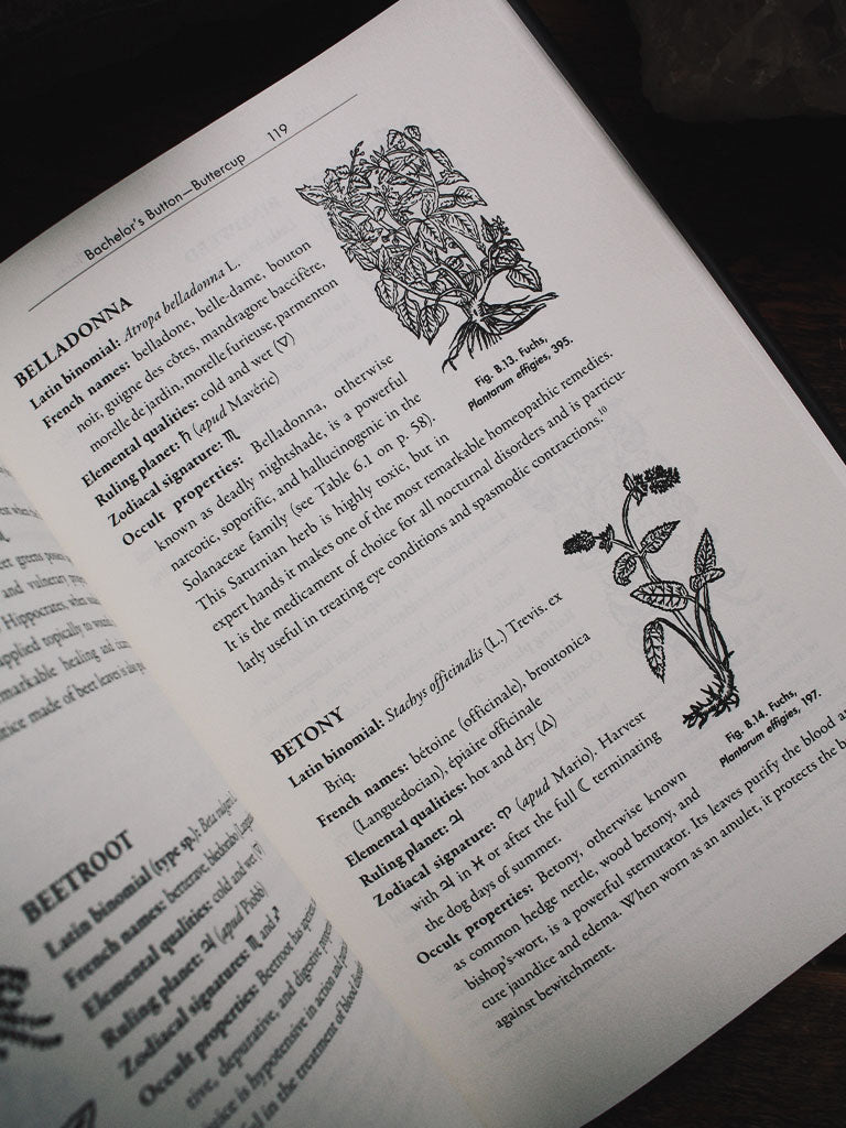 Occult Botany - Sédir’s Concise Guide to Magical Plants - Rite of Ritual