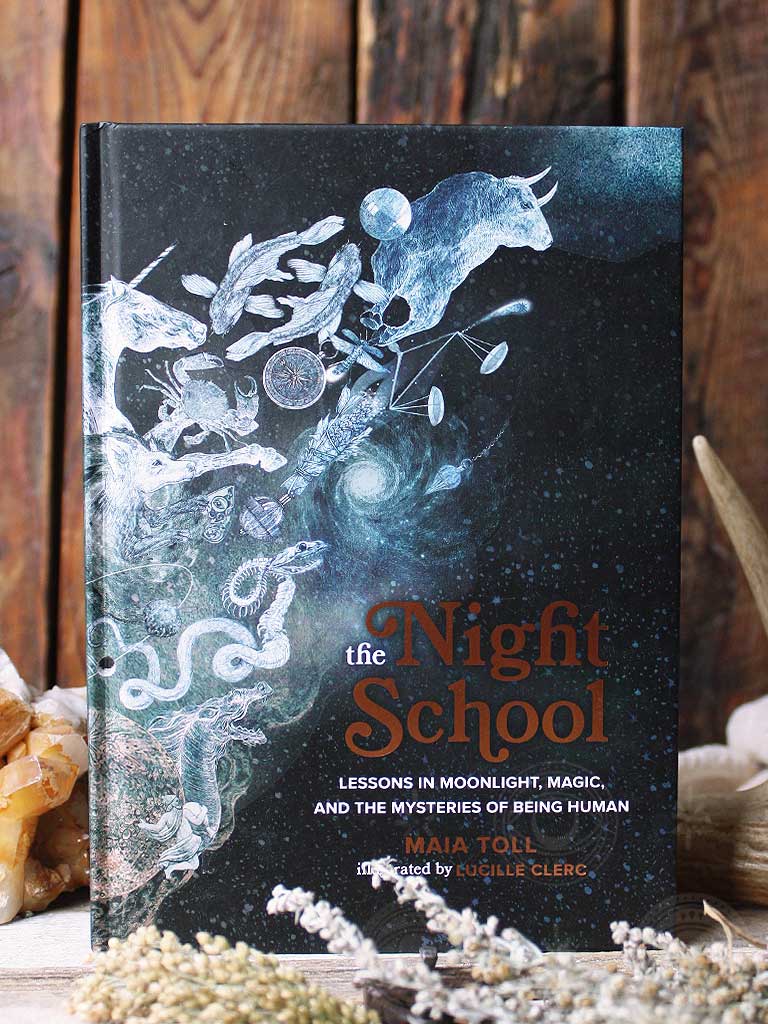 The Night School - Lessons in Moonlight, Magic, and the Mysteries of B ...