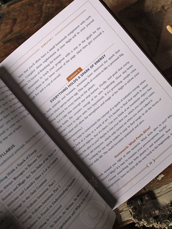 The Night School - Lessons in Moonlight, Magic, and the Mysteries of B ...