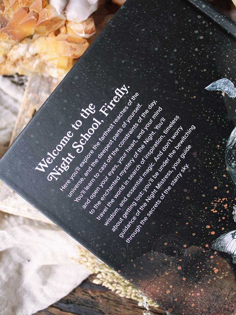 The Night School - Lessons in Moonlight, Magic, and the Mysteries of B ...