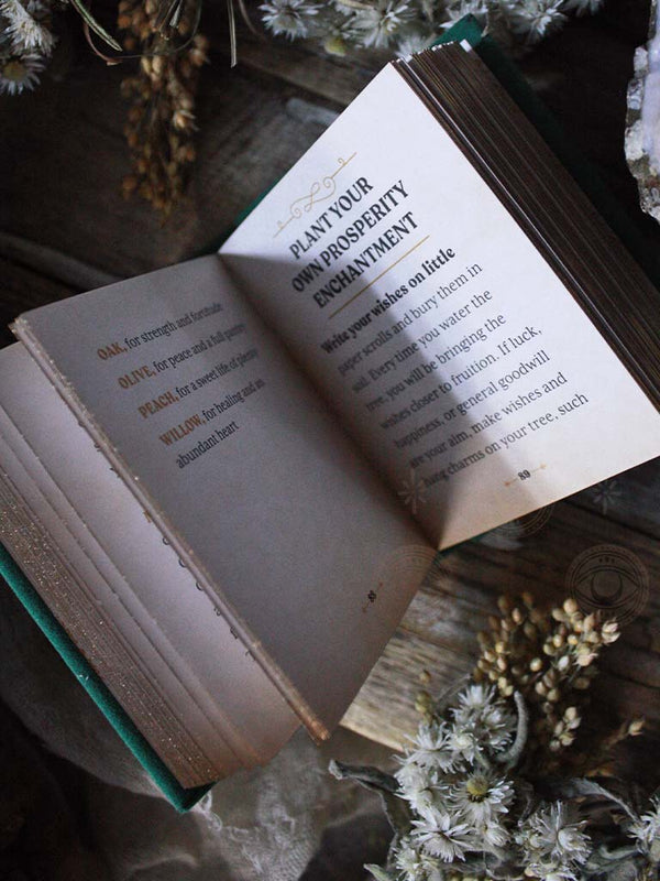 The Witches' Wealth Spell Book - For Abundance and Prosperity - Rite of ...