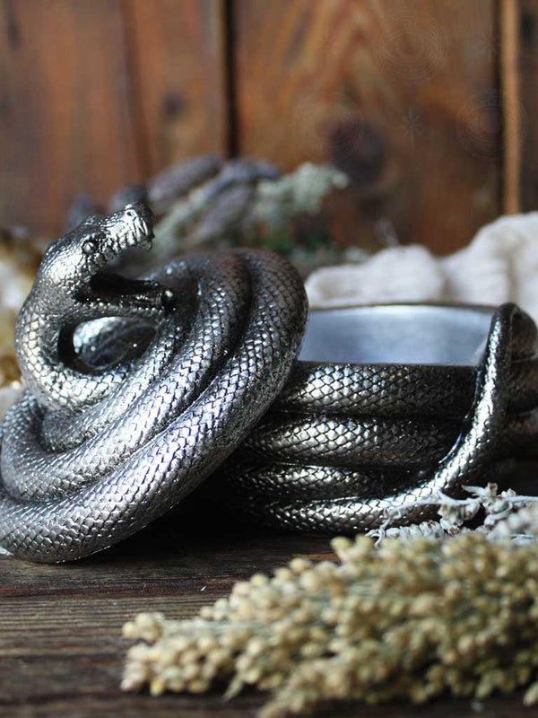 Underworld Snake Trinket Dish - Rite of Ritual